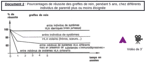 Activité 3 : Greffes et transplantations : sous contrôle génétique