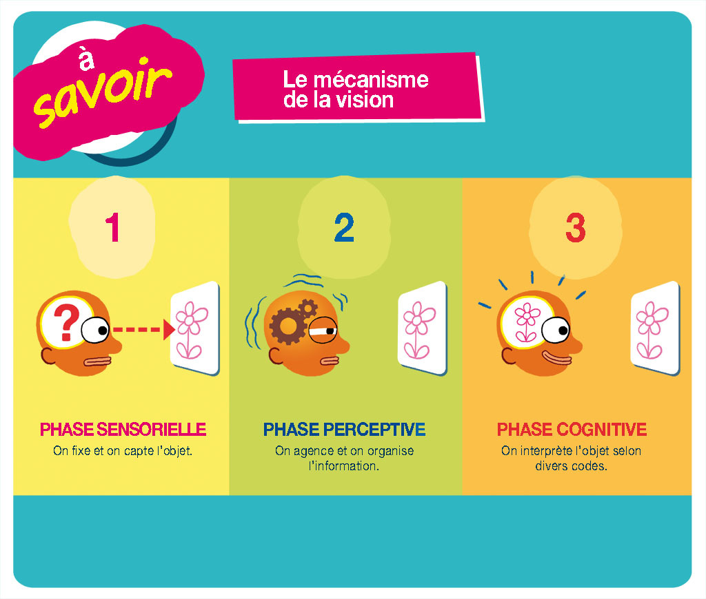 Usages pédagogiques d'un TBI en classe