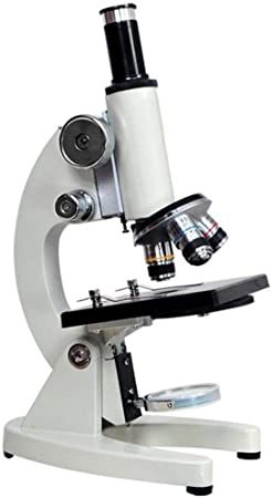 Comment réaliser une observation microscopique (Tâche complexe)